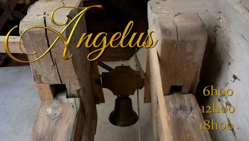 El Ángelus en Latin – Sociedad Católica